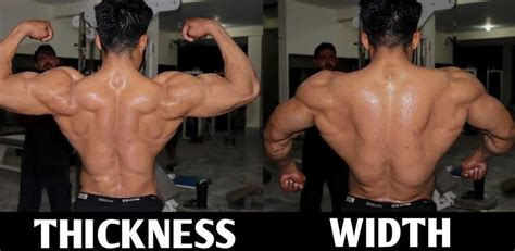 Image result for AVG Back Shape