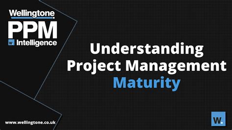 Image result for Project Maturity