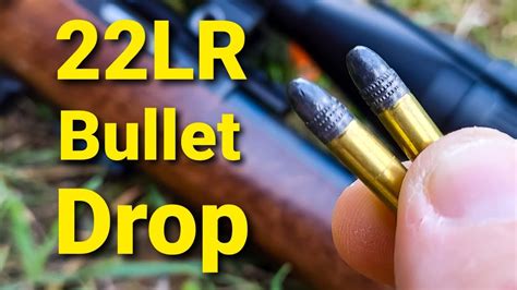 Image result for 22LR Drop Chart