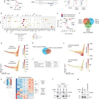 Image result for Reprogramming Sequence
