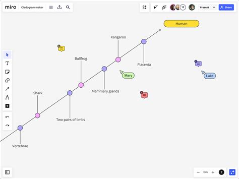 Image result for How to Make Cladogram