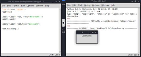 Image result for Dynamically Resize Tkinter Labels