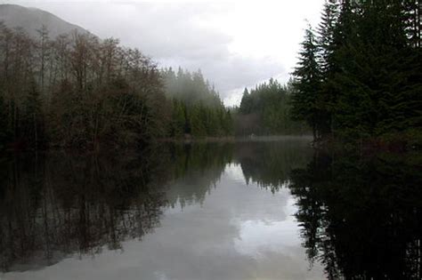 Chelydra.org - Snapping Turtle Habitat