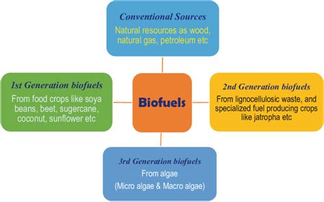 Image result for Biofuel Types