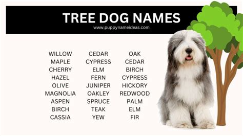 Image result for Snow Dogs Names