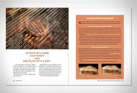 Image result for The Food Lab Blog Name