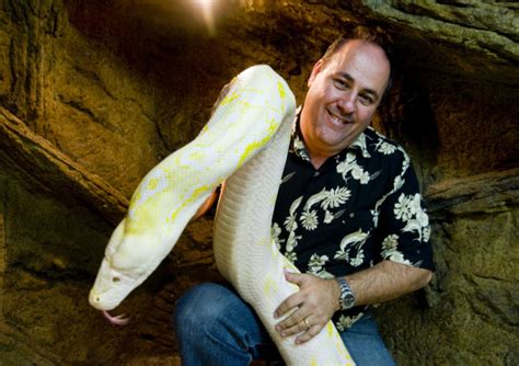 Image result for World Record Reticulated Python