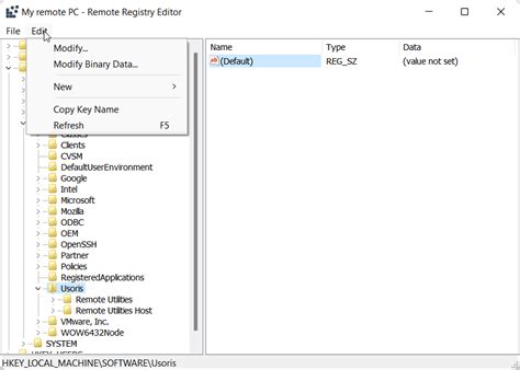 Image result for Remote Registry Service