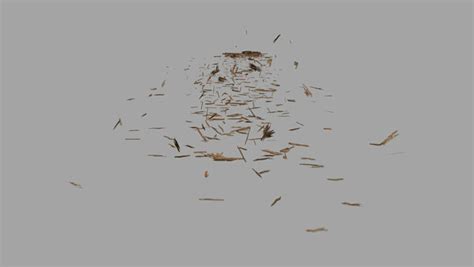 Image result for Exploding Wood Chuck