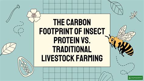 Image result for Insect Production