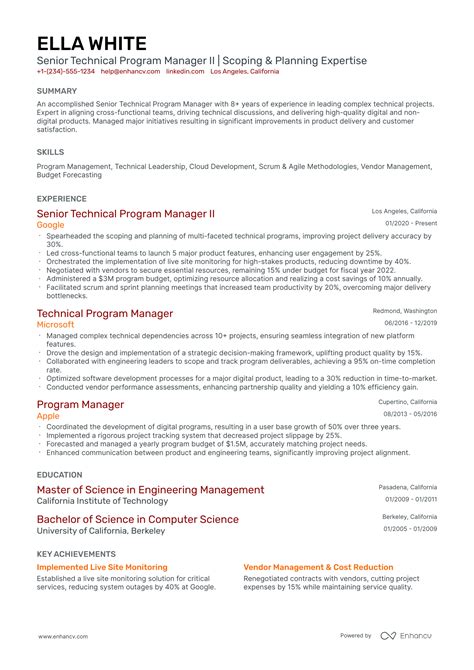 Image result for Technical Program Manager Vision Examples