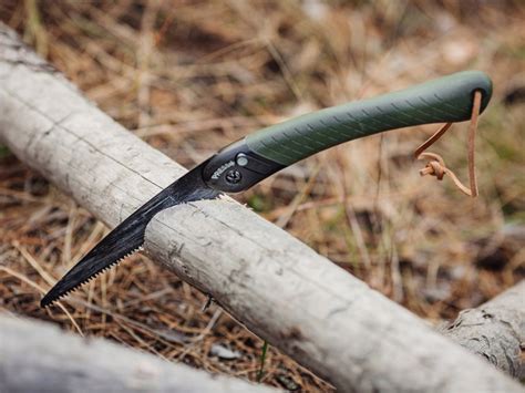 Image result for Tree Saws Hand