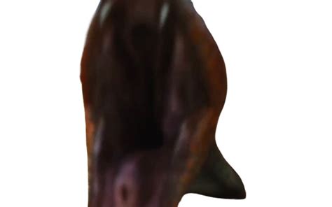 Image result for ASP Snake Fangs