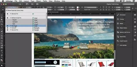 Image result for Que ES Adobe InDesign