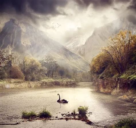 Image result for Image Manipulation