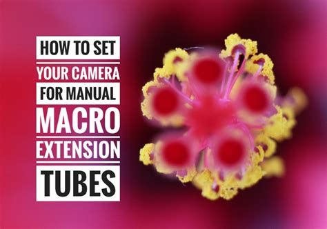 Image result for Using Macro Extension Tubes