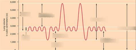 Image result for How to Read Spirogramm