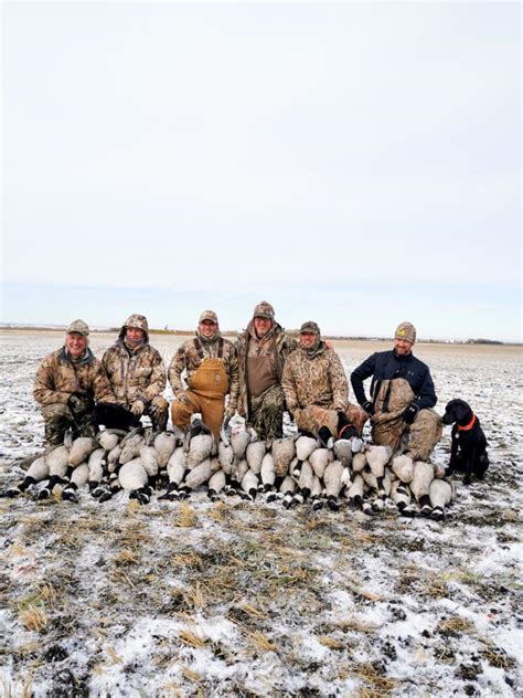 Image result for Goose Hunts