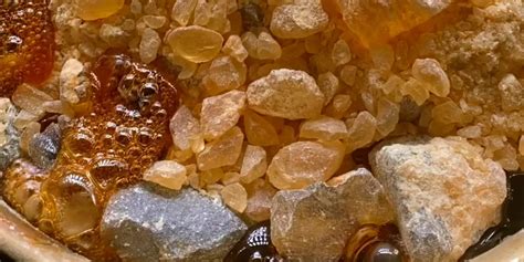 Image result for How to Clean Tree Resin
