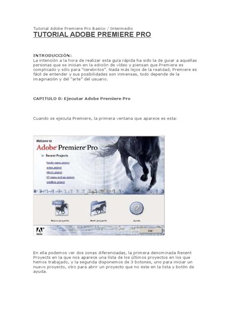 Image result for Premiere Pro Full Tutorial PDF