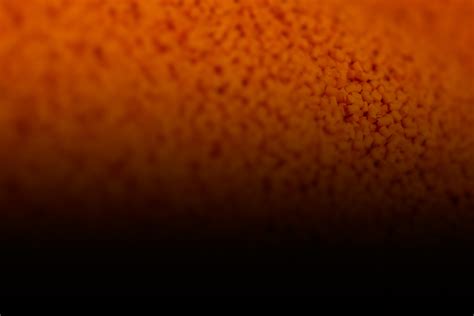 Image result for Masterbatch SA Logo