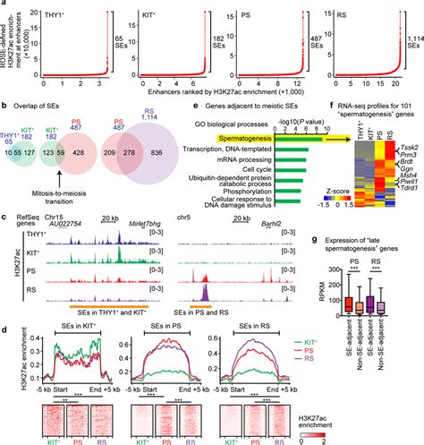 Image result for Super-Enhancer