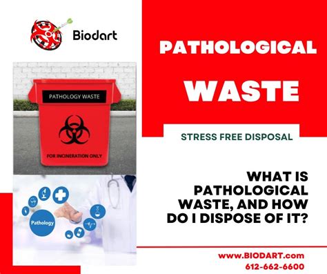Image result for Pathological Waste Box