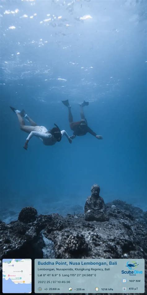 Image result for GPSMAP Camera Mod