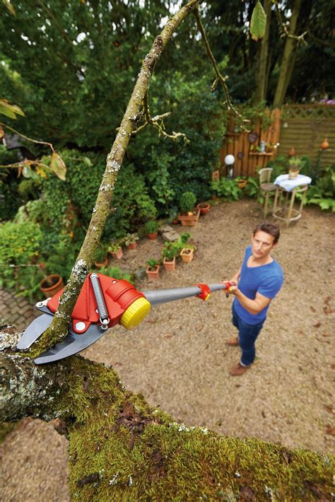 Image result for Tree Lopper Lift