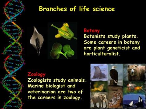 Image result for Life Science Definition