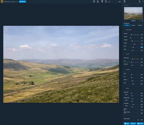Image result for Topaz Adjust AI Tutorial