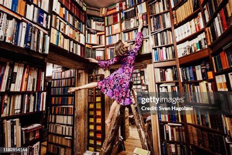Image result for Judith Angel Library Ladder