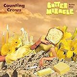 Image result for Counting Crows Albums