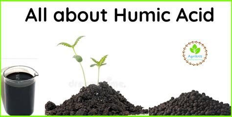 Image result for Humic Acid for Humans