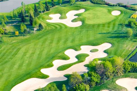 Image result for Golf Course Grass Types