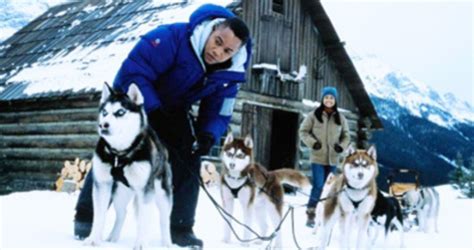 Image result for Snow Dogs Cast