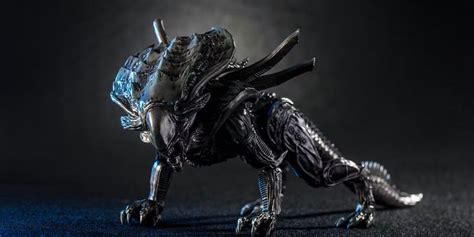Image result for Xenomorph Types List
