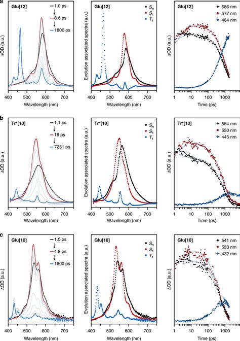 Image result for Transient Absorption Spectroscopy