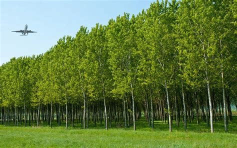 Image result for Computer Science Related Software List