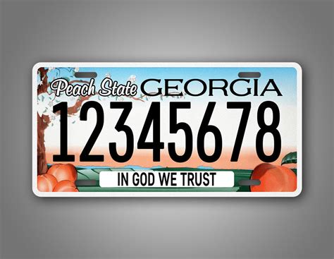 Image result for Georgia State License Plate
