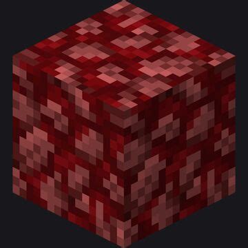 Image result for Minecraft Java 1.16.5 Netherrack Texture