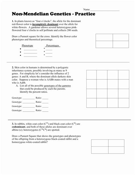 Image result for Mendelian Genetics Worksheet Answer Key