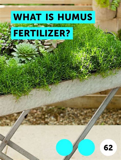 Image result for Humus Fertilizer