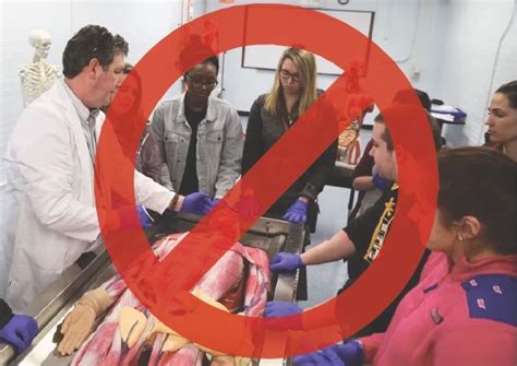 Image result for Virtual Human Body Dissection