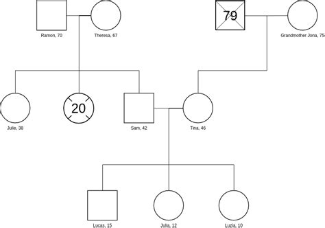 Image result for Three-Generation Genogram
