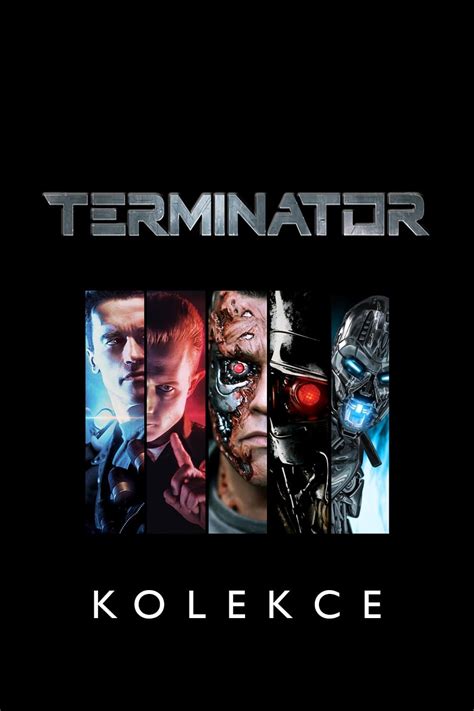 Image result for Terminator Collection