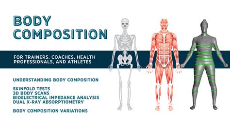 Image result for Types of Body Composition