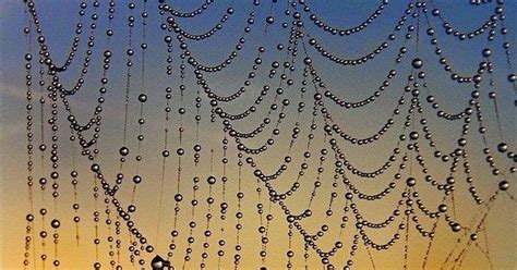 Image result for Gods Algorithm Applications