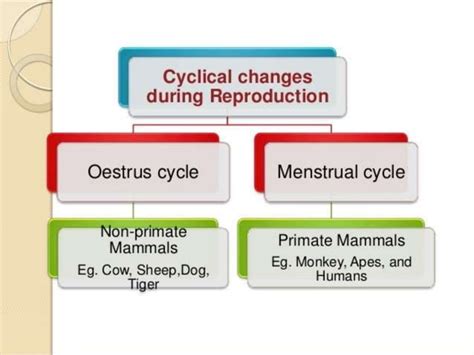 Image result for Reproduction Chapter Class 10