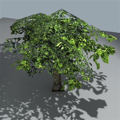 Image result for Tree Texture Maya